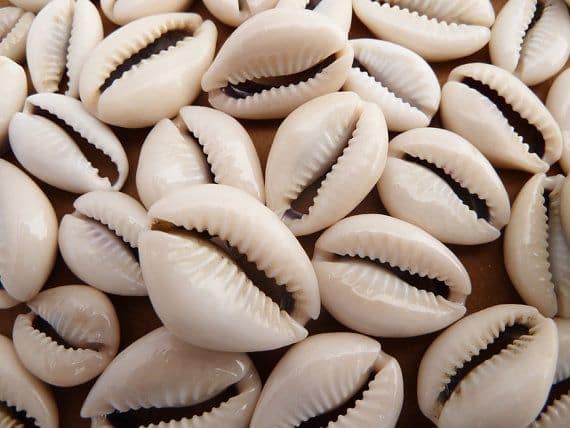 Cowries Divination - Sheelaa M Bajaj